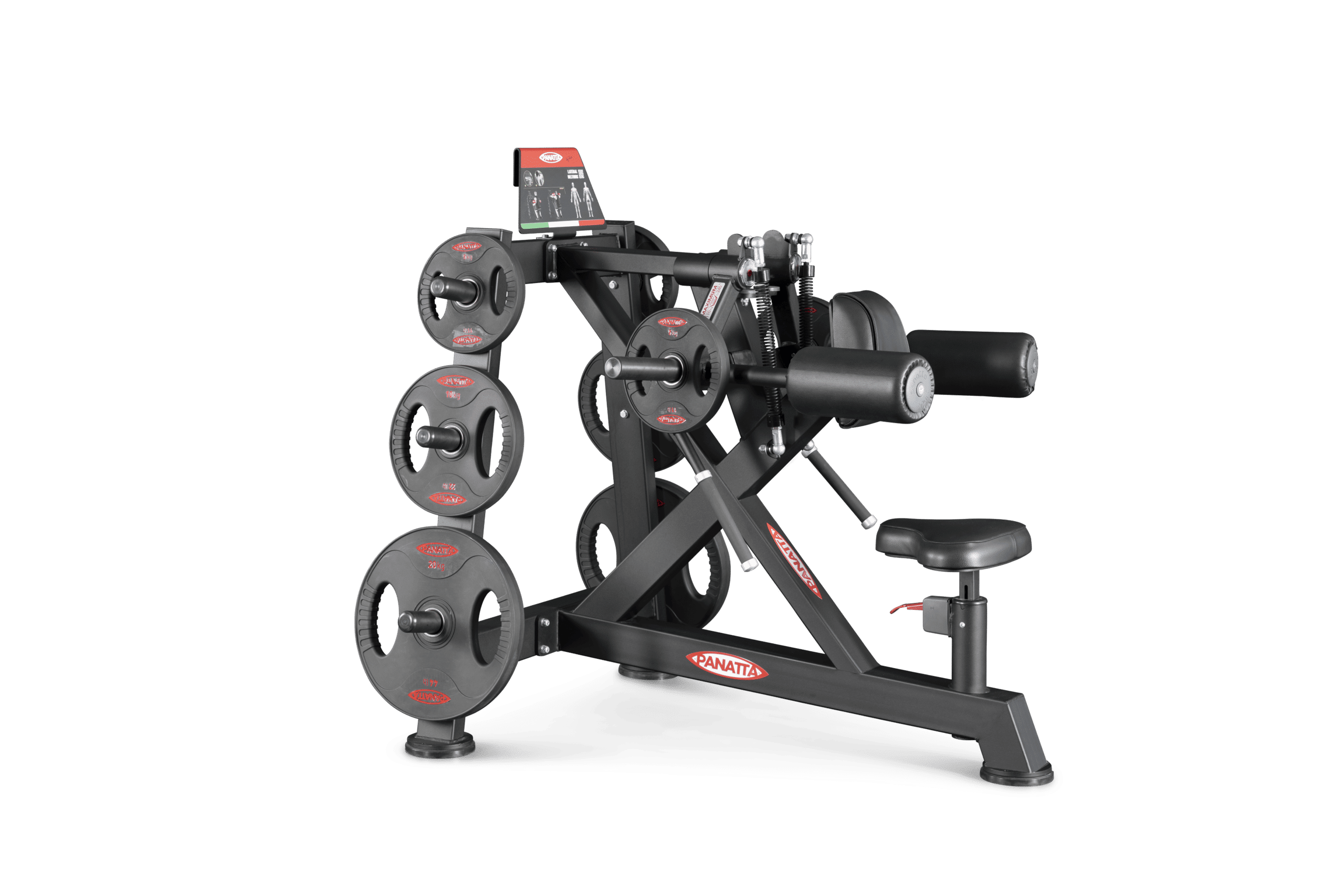 Lateral Deltoids | Motion Fitness